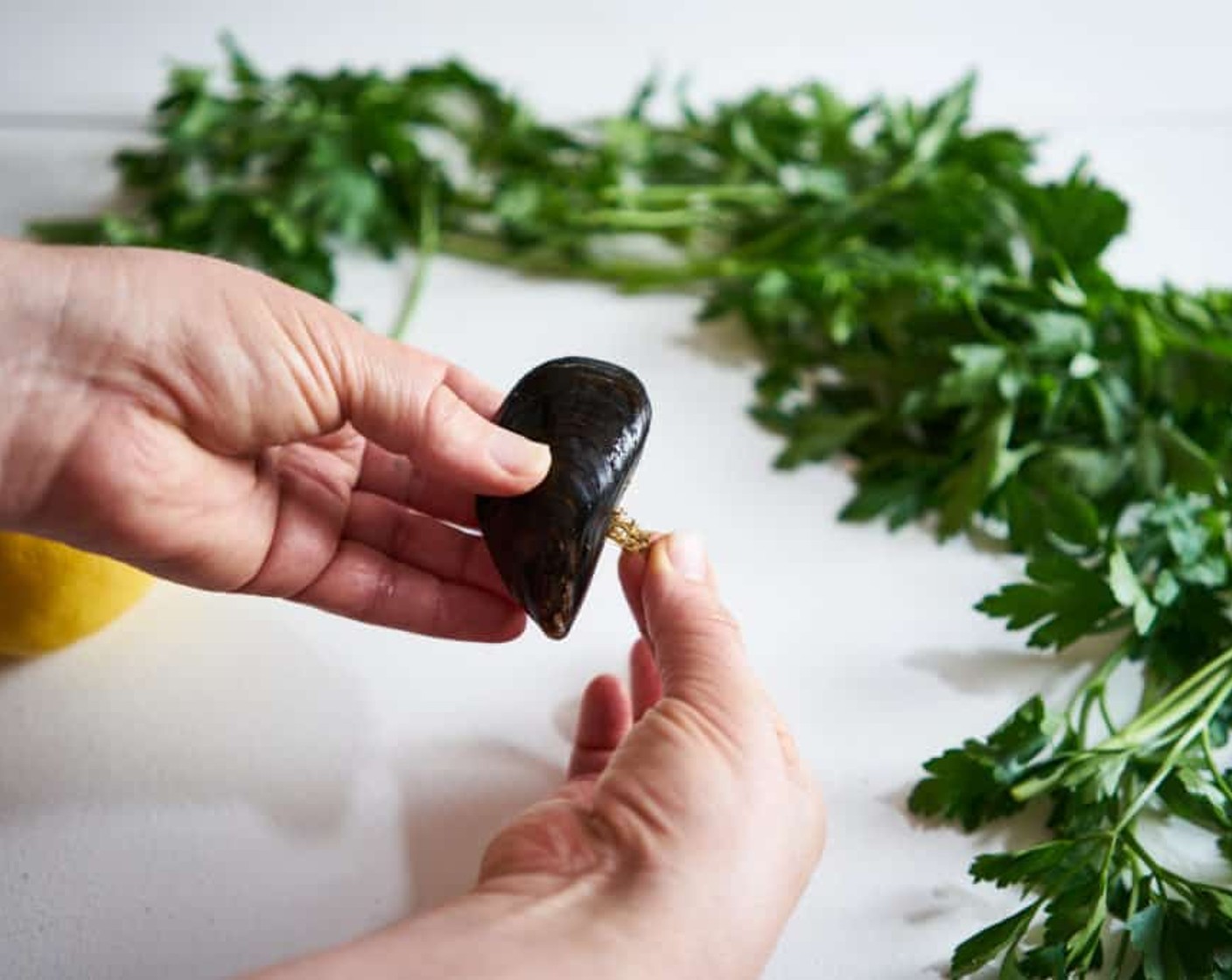 Moules Marinières (Mussels in White Wine) Recipe | Sunset Foods Recipe Rack